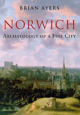 Norwich Archaeology of a Fine City by Brian Ayers (Paperback, 2009) for ...