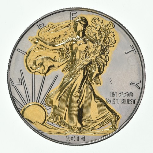 2014 Beautifully Painted/Sticker American Silver Eagle 1 Oz. .999 Fine ...