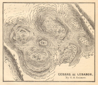 Forest of the Cedars of Lebanon / God. Bcharreh Horsh Arz el-Rab. SMALL ...