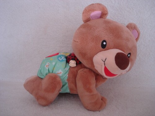 VTech Explore & Crawl Interactive Learning Bear Cub | eBay