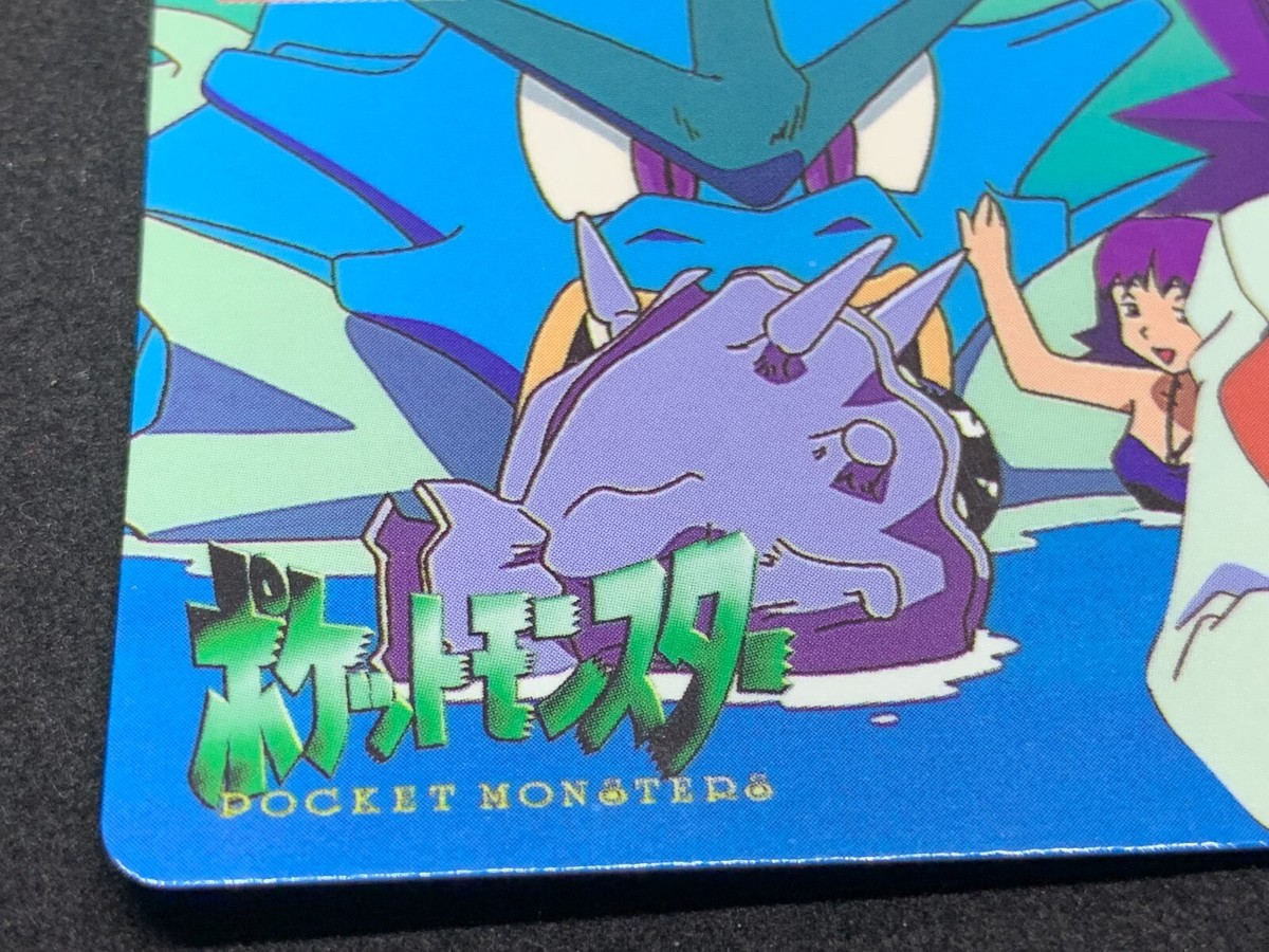 Pokemon Professor Ivy Viewing Character PocketMonsters.Net