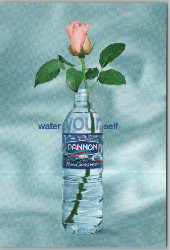 Vintage Postcard Dannon Natural Spring Water Advertisement Water ...