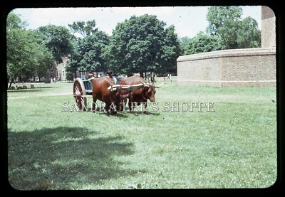1970s Original Slide Ox Cart Ride Colonial Williamsburg VA #4779 | eBay