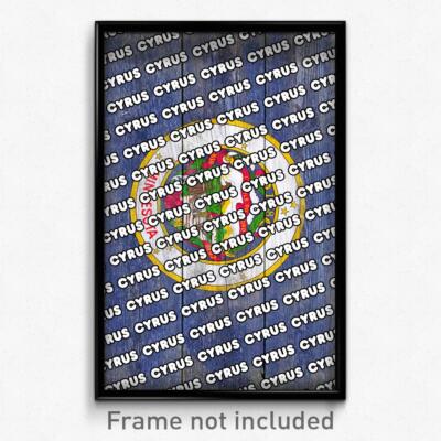 Cyrus Minnesota Poster (MN City Souvenir 11x17 Town Print) | eBay