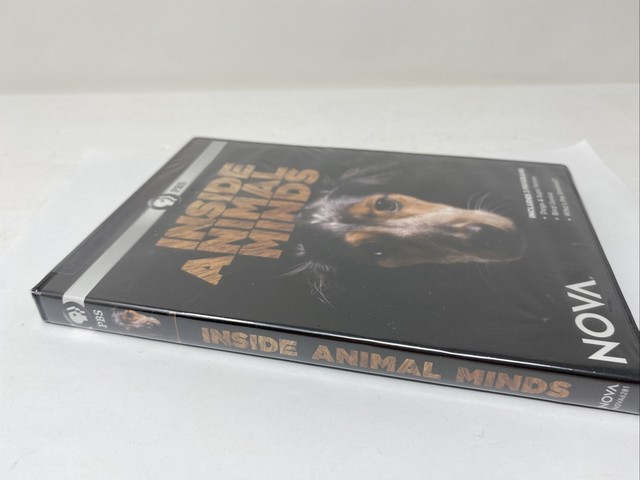 Nova: Inside Animal Minds (DVD) for sale online | eBay