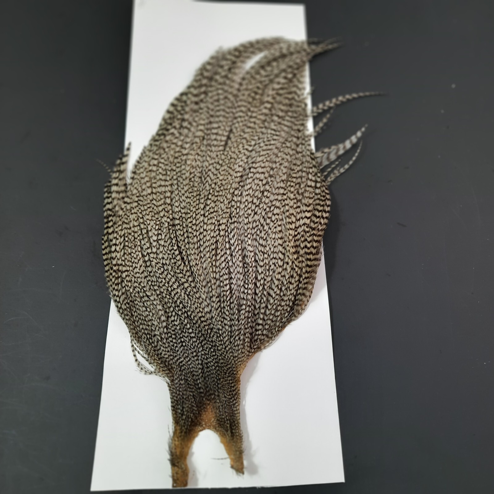 Dry Fly Hackle Cape Neck Grizzly, Cream, Olive, Blue Dun, Olive Dun ...