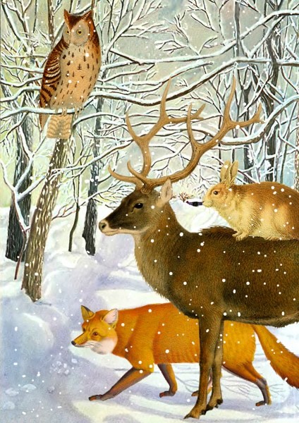 Winter Gathering Art Blank Xmas Christmas Card Snow Deer Fox Owl Madam ...
