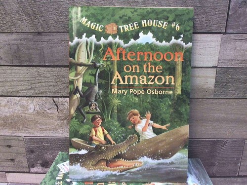 Class Lot of 10 Magic Tree House Volume 6 Afternoon on the Amazon by ...