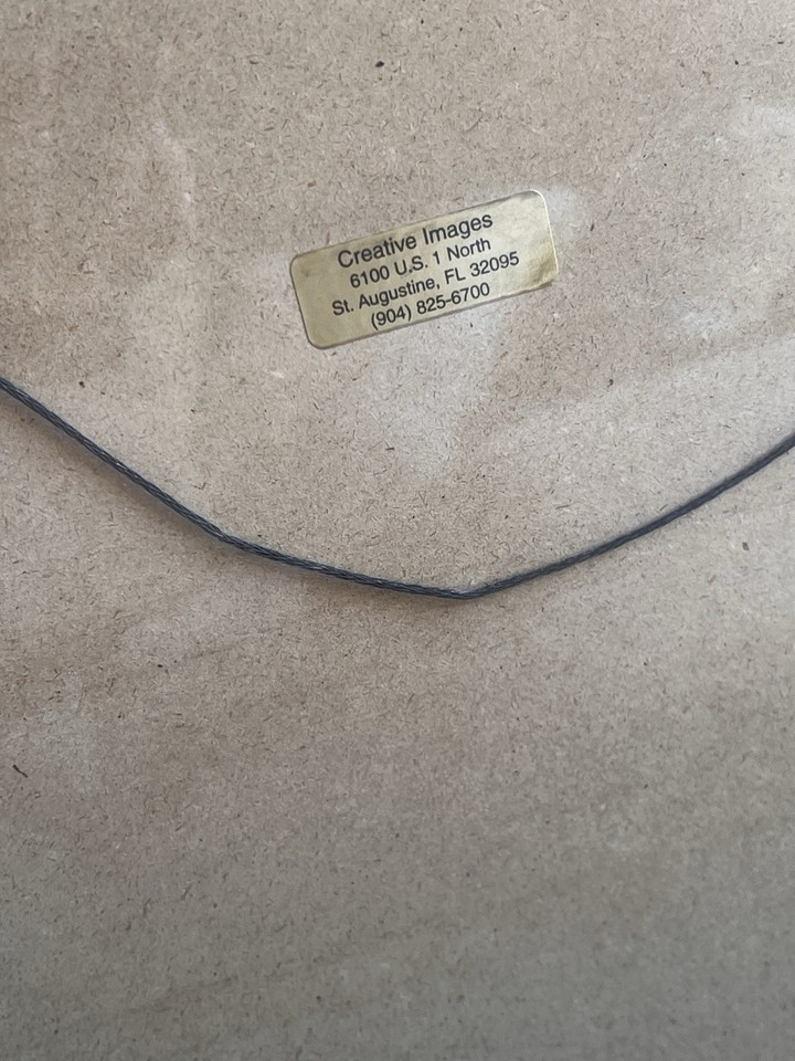 Nat Geo World Map 44x30 Wood Mounted Laminated Dry Erase ~2008-2010 NWT ...