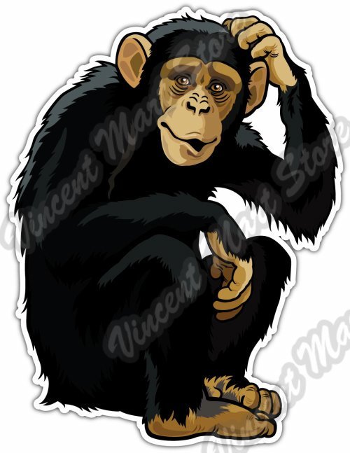 Monkey Chimpanzee African Animal Car Bumper Window Vinyl Sticker Decal ...