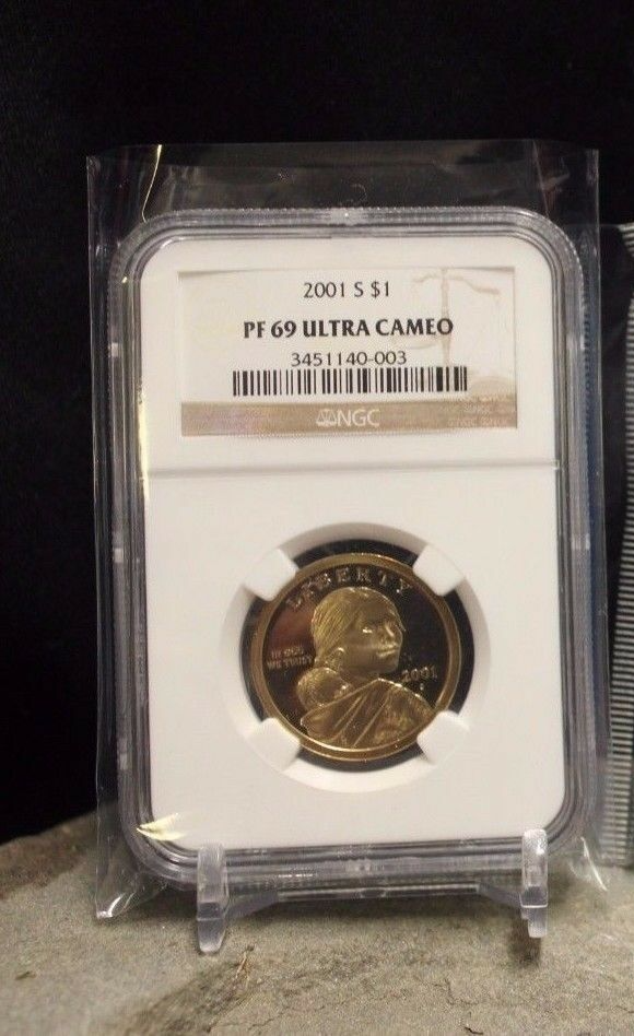 100 Coin Slab Resealable Sleeves NGC PCGS Everslab Protective Sleeve ...