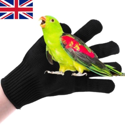 Bird Anti-bite Gloves Parrot Hamster Chewing Working Safety Protective ...