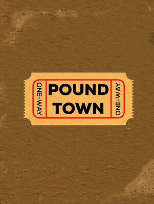 Ticket To Pound Town Sticker, Meme sticker, Funny Waterproof Vinyl ...