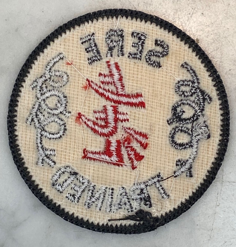 Vintage SERE TRAINED USAF Military Training Program Embroidered Patch ...