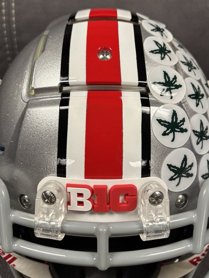 Ohio State Schutt F7 Helmet - Adult Large - Painted Stripes - Loaded ...