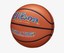 Wilson Evolution Basketball 29.5 Evo Editions Chump Rare | eBay