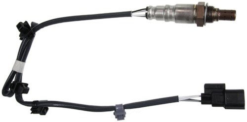Oxygen Sensor NGK 24089 | eBay