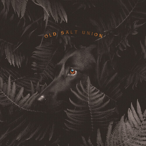 WHERE THE DOGS DON'T BITE, Old Salt Union, Very Good , audioCD ...