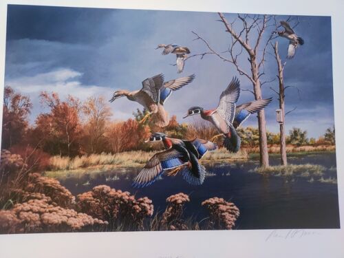 David Maass Wood Duck 25th Anniversary Limited Edition Signed Print | eBay