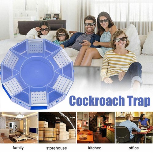 Insect Bug Trap Catcher Cockroach Ant Bed Bug Flea Box Pest-Co` F6D0 | eBay