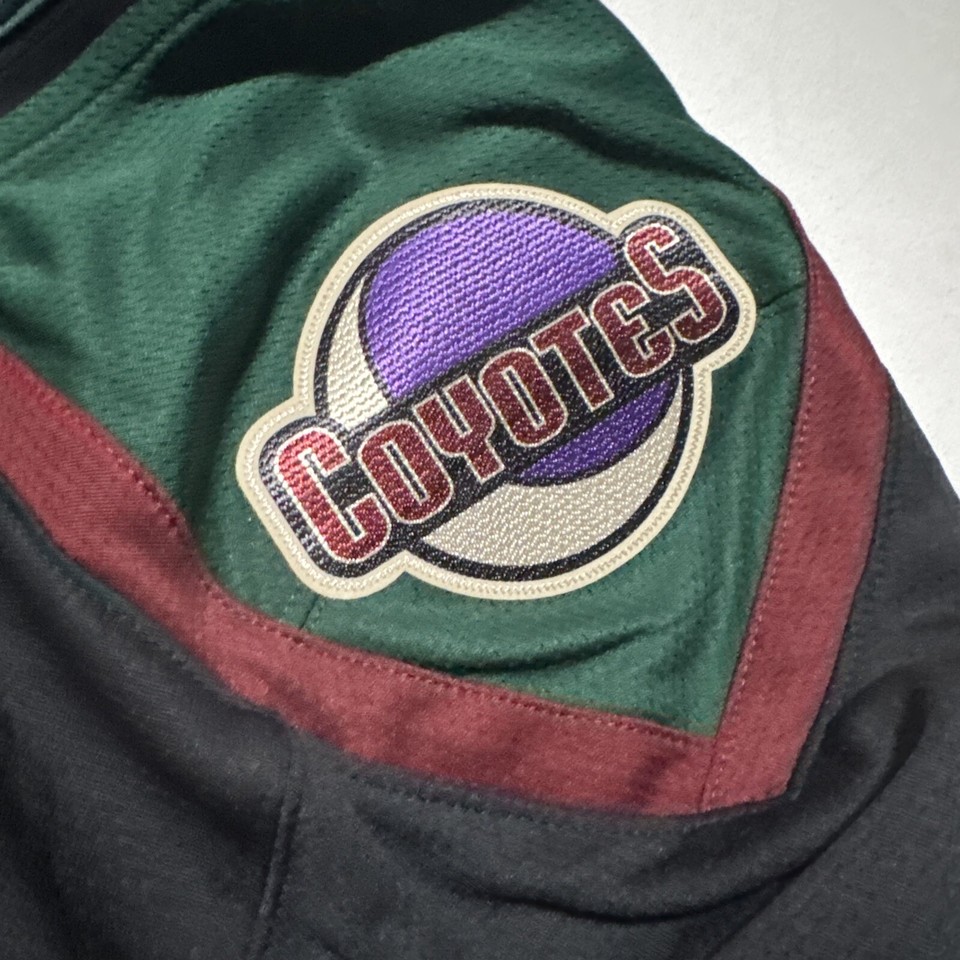 Fanatics Breakaway NHL Arizona Coyotes Kachina Logo Jersey Women L ...