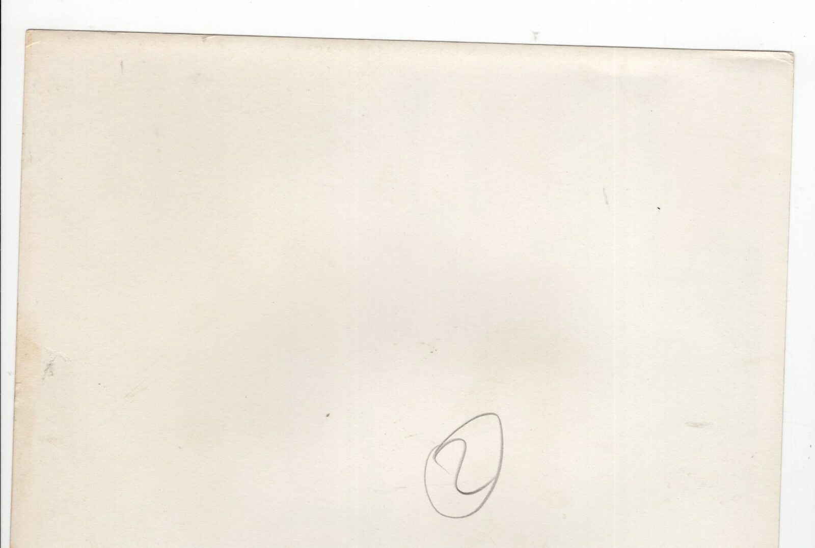 GALE SONDERGAARD SOPHISTICATED BEAUTY 1939 CHEESECAKE SWIMSUIT ORIG ...