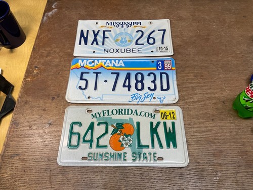License Plate Lot of 3 Different States Florida Montana Miss Rustic ...