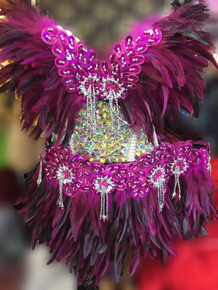 Evita Ftr Feather Dance Drag Bra Skirt Bra Belt Samba Dress Costume Set