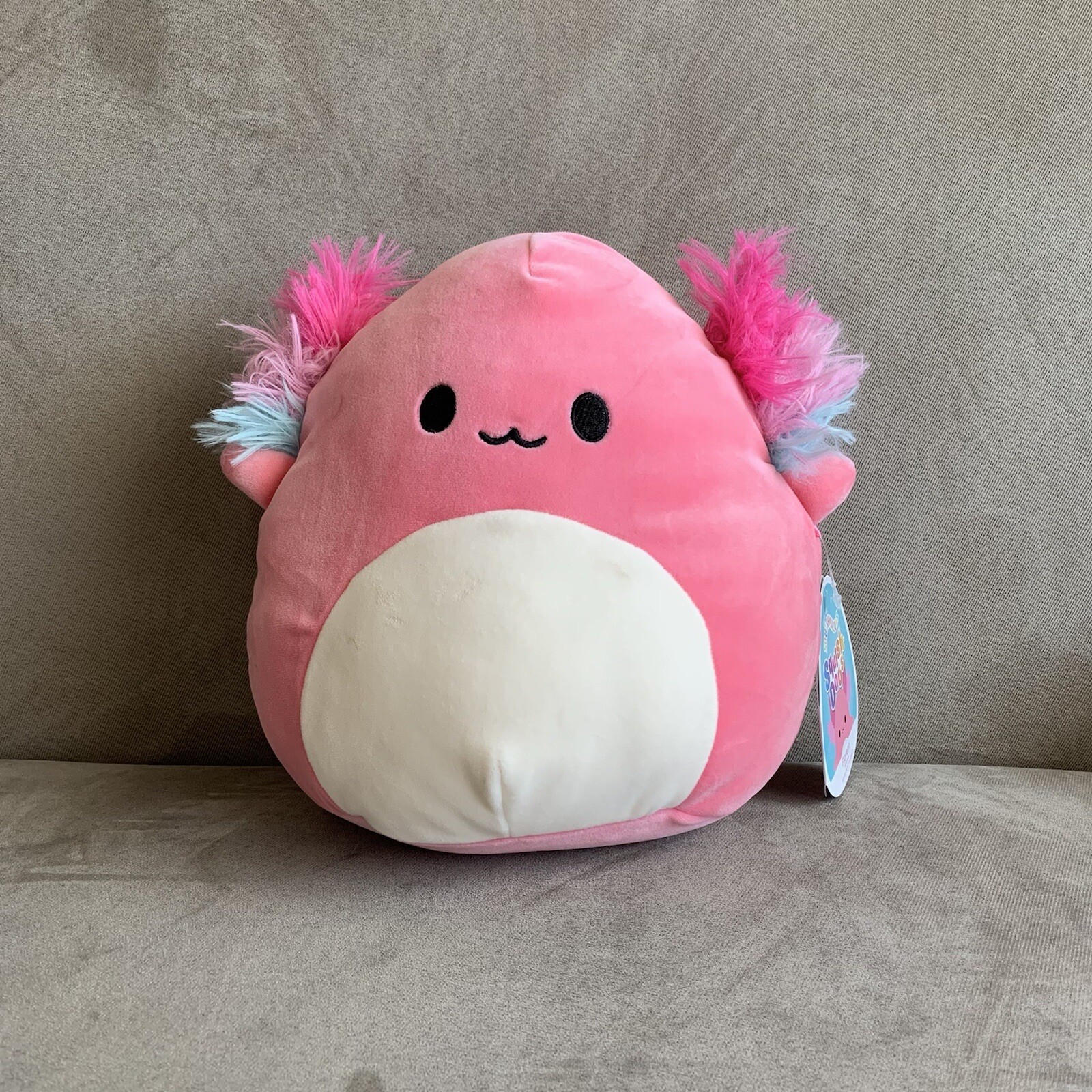 NWT 10" Florent The Derpy Pink Axolotl Squish Doo Squishmallow Plush ...