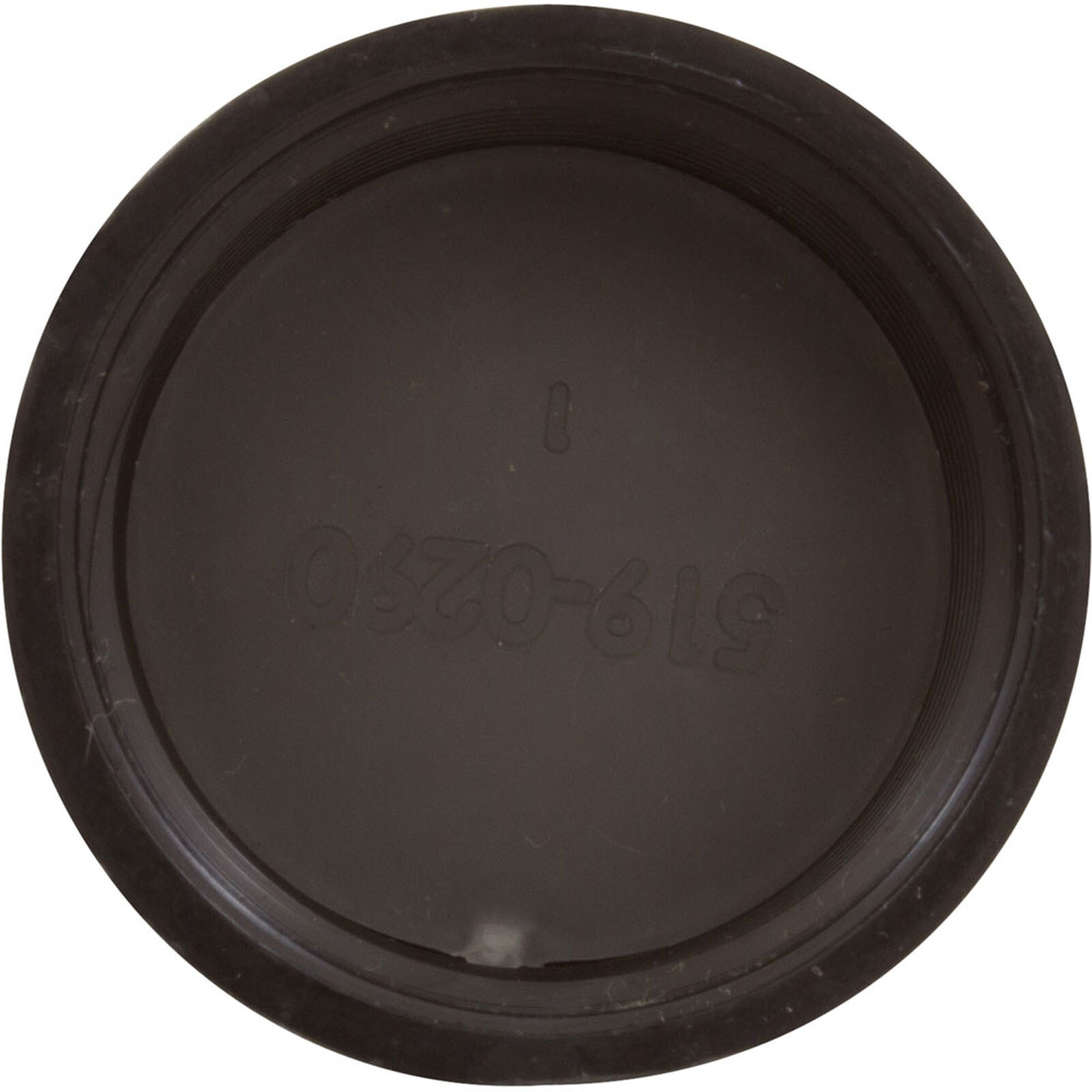Drain Cap Assembly, Waterway Pro Clean Plus | eBay