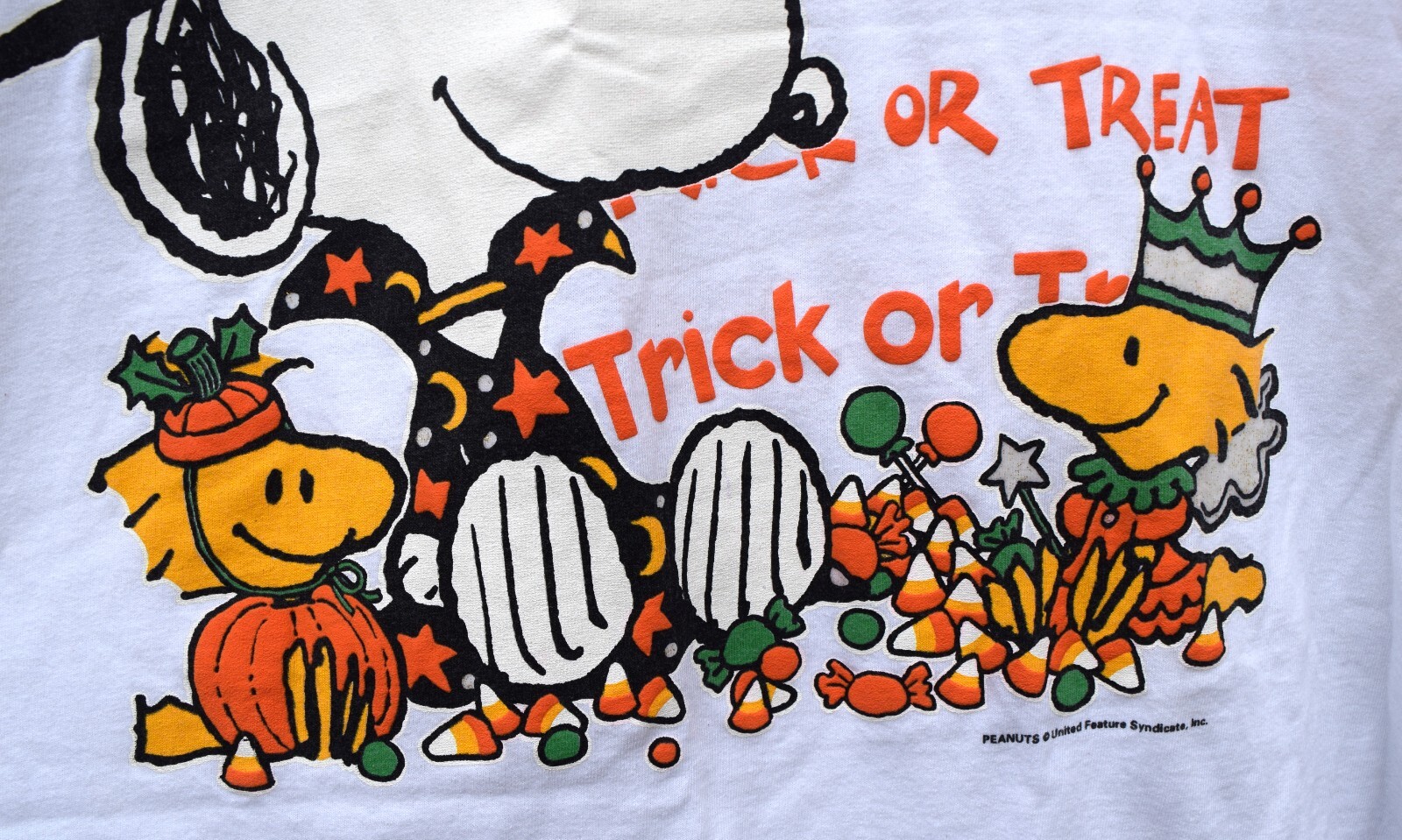 Vintage Official Peanuts Snoopy Witch Woodstock Halloween Trick Or ...
