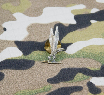 1265 GAPA GROM POLISH SPECIAL FORCES BADGE MINIATURE POLAND | eBay