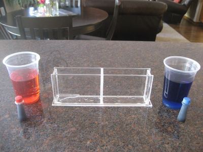 Plastic Water Density Demonstration Box | eBay