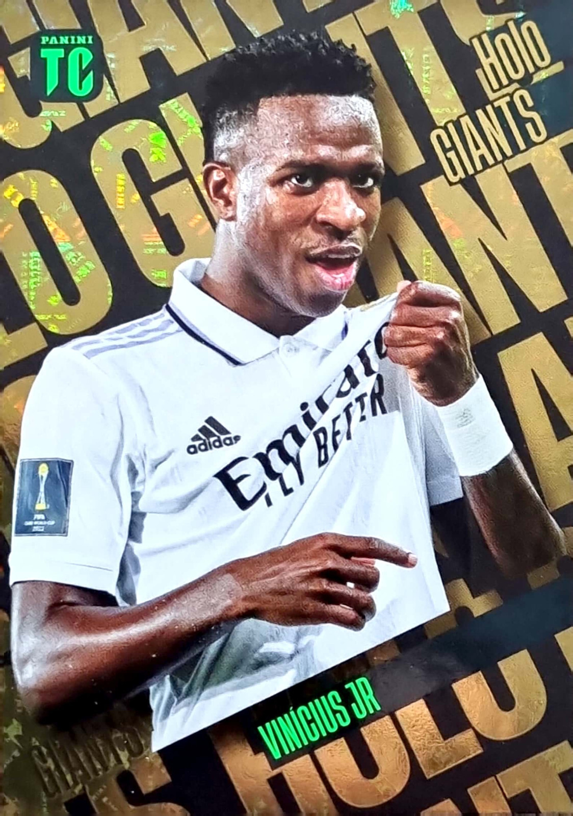 Panini -- HOLO GIANT -- TOP CLASS 2023 - Limited Edition - Einzeln zum ...