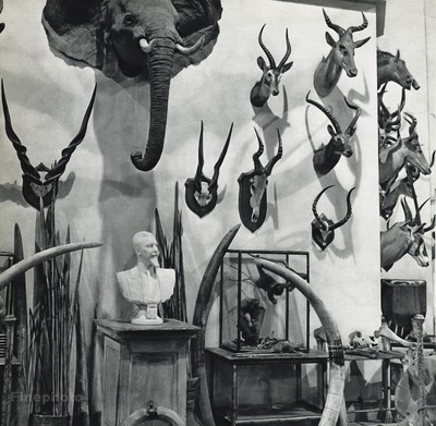 1955 Vintage ROBERT DOISNEAU Big Game HUNTING Trophy Taxidermy Ivory ...