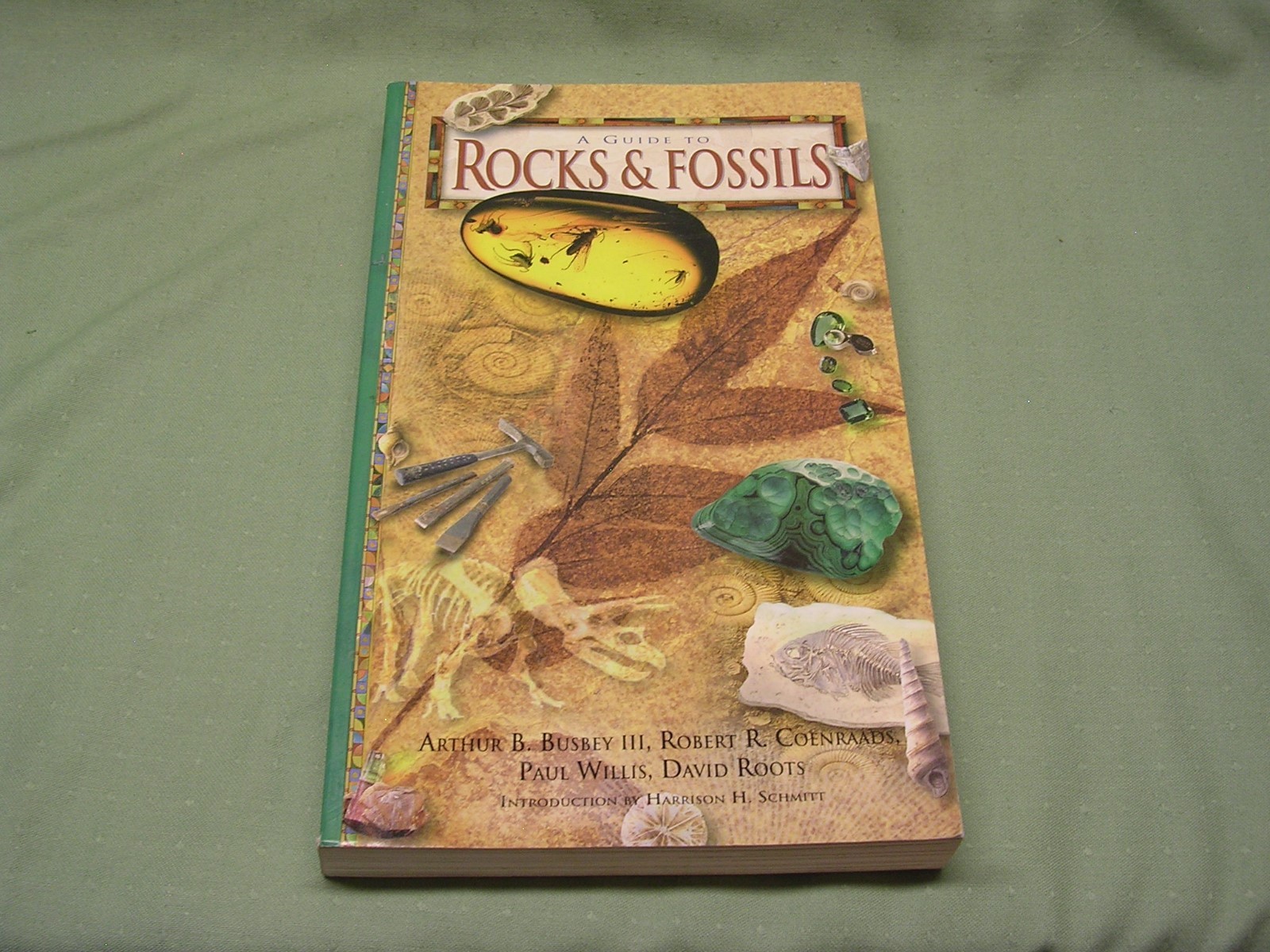 A Guide to Rocks and Fossils by Arthur B. Bussey III 9781877019517| eBay