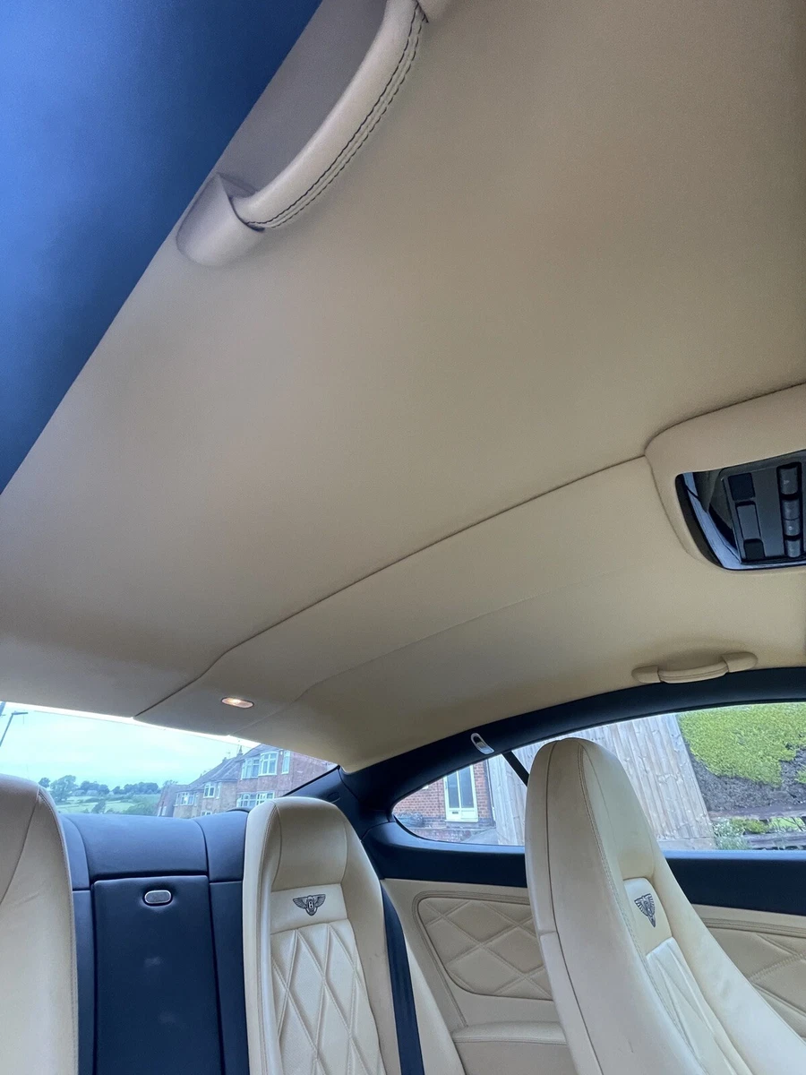 Bentley Interior Roof | Cabinets Matttroy