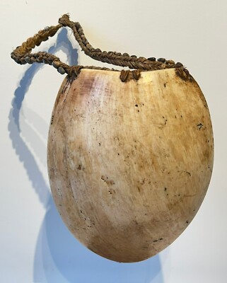 Pacific Islands & Oceania - Bailer Shell