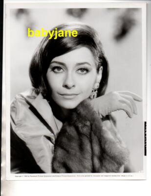 ELIZABETH ASHLEY ORIGINAL 8X10 PHOTO GLAMOUR PORTRAIT 1963 THE ...