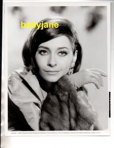 ELIZABETH ASHLEY ORIGINAL 8X10 PHOTO GLAMOUR PORTRAIT 1963 THE ...