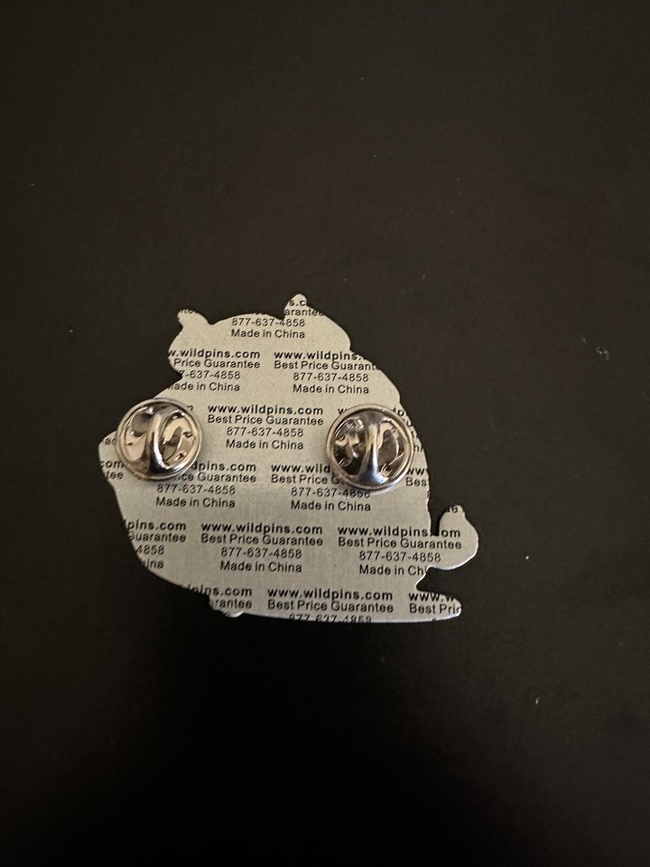 DECA SPAIN PIN 2024 - NEW CONDITON - RARE INTERNATIONAL PIN | eBay