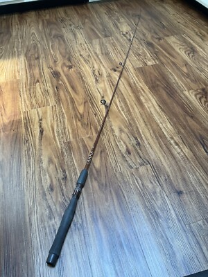 VINTAGE FENWICK FS61 2 PIECE 6' SPINING ROD FOR 1/16 TO 1/4 OZ LURES | eBay