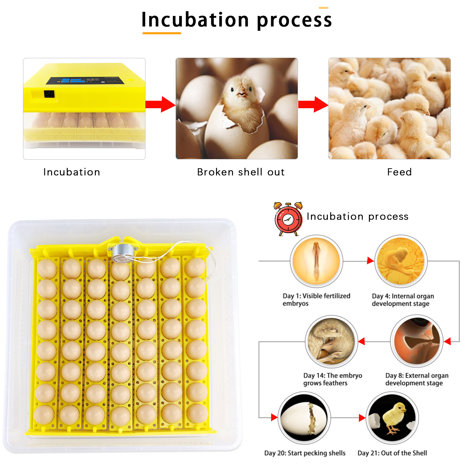 56 Digital Practical Eggs Incubator Egg Hatcher Temperature Auto ...