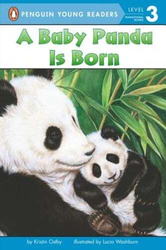 A Baby Panda Is Born by Kristin Ostby: Used 9780448447209 | eBay