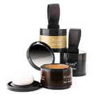 Instant Hair Line Powder Hairline Cover Up Powder Hair Shadow Hair Root ...