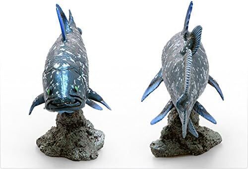 New Favorite Figure 77711 Ancient Fish Coelacanth Soft Model from Japan ...
