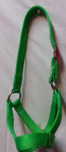 Cattle Halters Bull, Cow, Yearling, Calf, Newborn Nylon Halter Carter ...