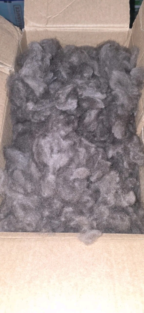 1 Pound Qiviut Fiber A+ GRADE, QUALITY GUARANTEED, OR FULL REFUND UPON ...