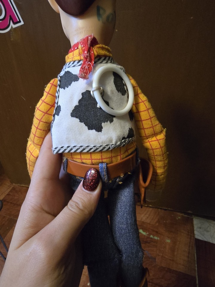 Signature Collection Toy Story Talking Woody and Jessie Pull String ...