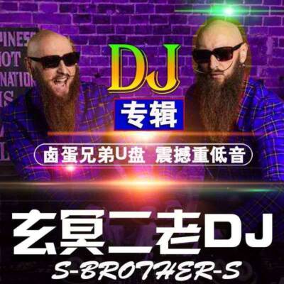 USB Flash Drive Russian twins S-Brother-S DJ electro heavy bass Disco ...